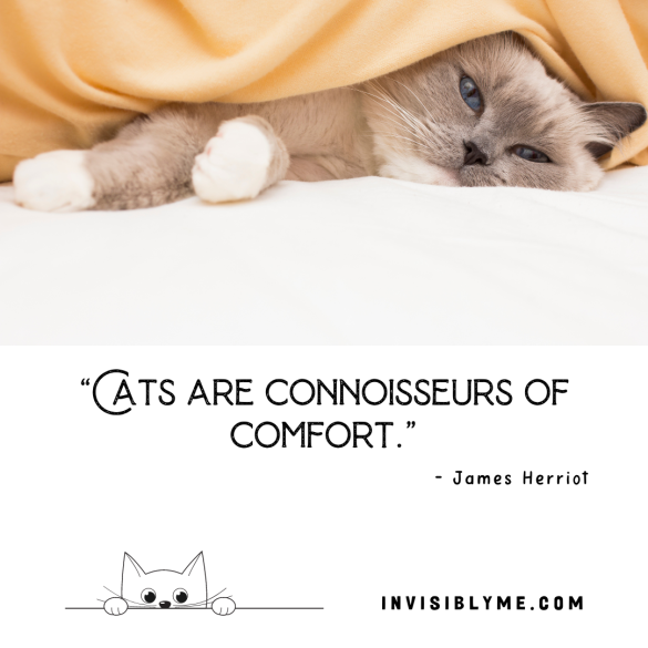 17 Cat Quotes That Explain The Feline Way Of Life - Invisibly Me