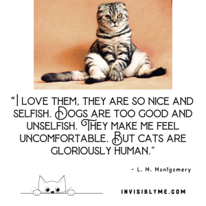 17 Cat Quotes That Explain The Feline Way Of Life - Invisibly Me