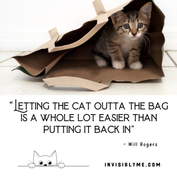 17 Cat Quotes That Explain The Feline Way Of Life - Invisibly Me